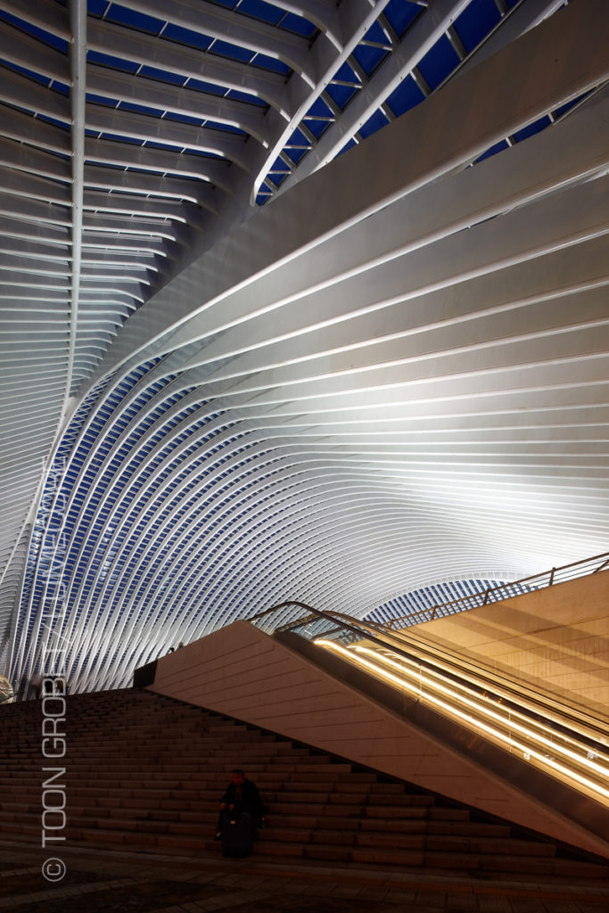 Toon grobet Photography